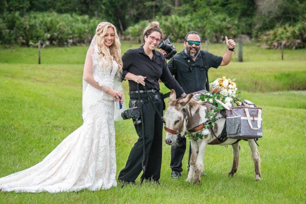 Beer Burro | Wedding Burrow | Fiesta Donkey in Orlando, Florida